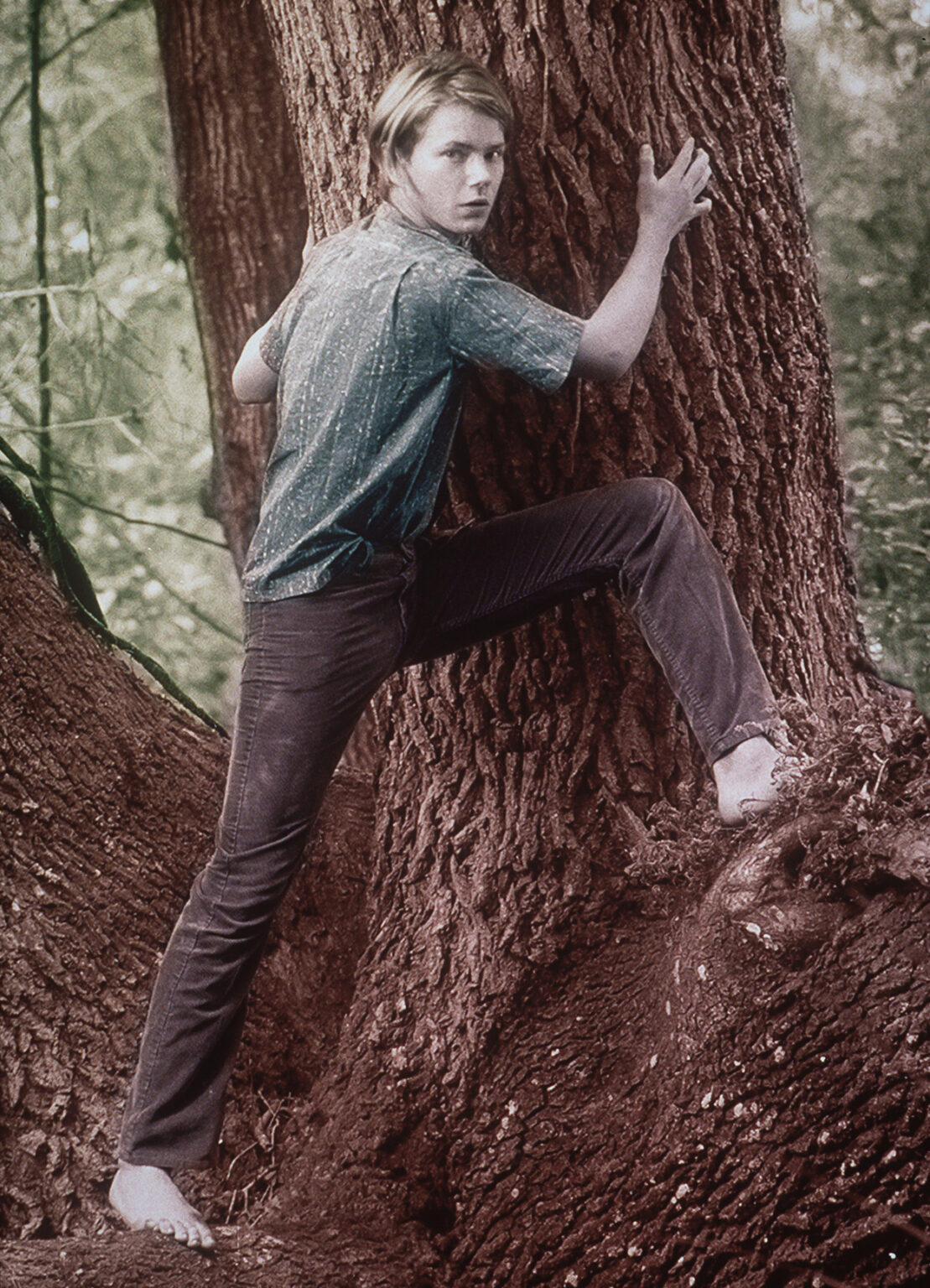 The story of River Phoenix and Aleka’s Attic – Bill DeYoung dot com